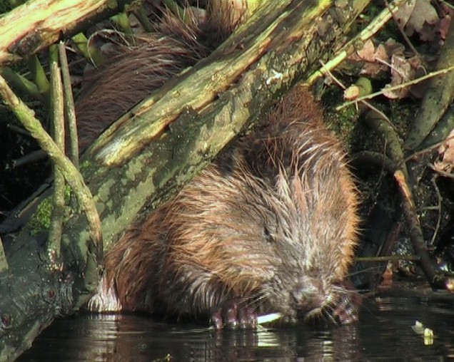 Water Land Drenthe (2014)
